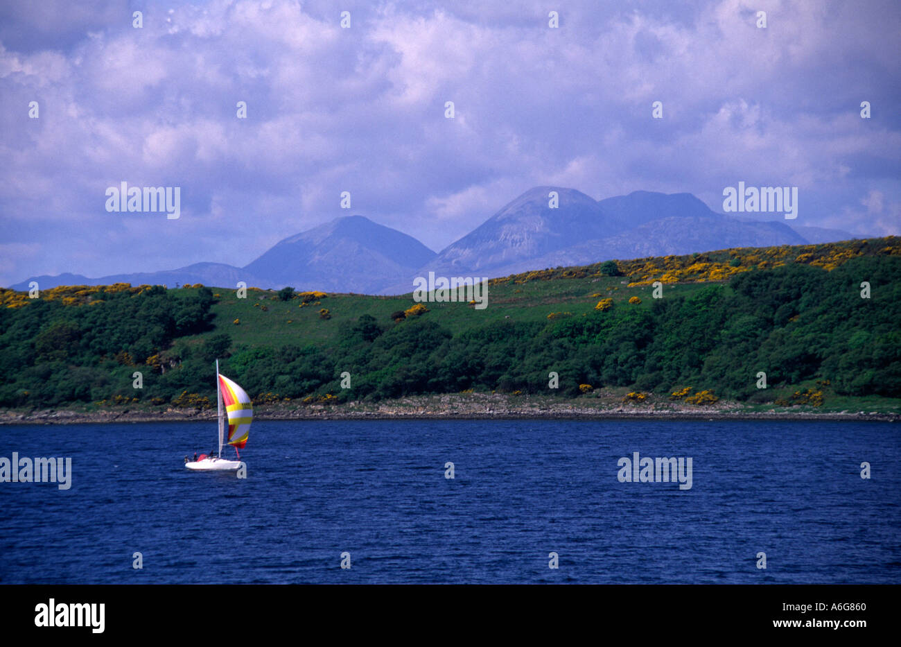 Sween High Resolution Stock Photography and Images - Alamy