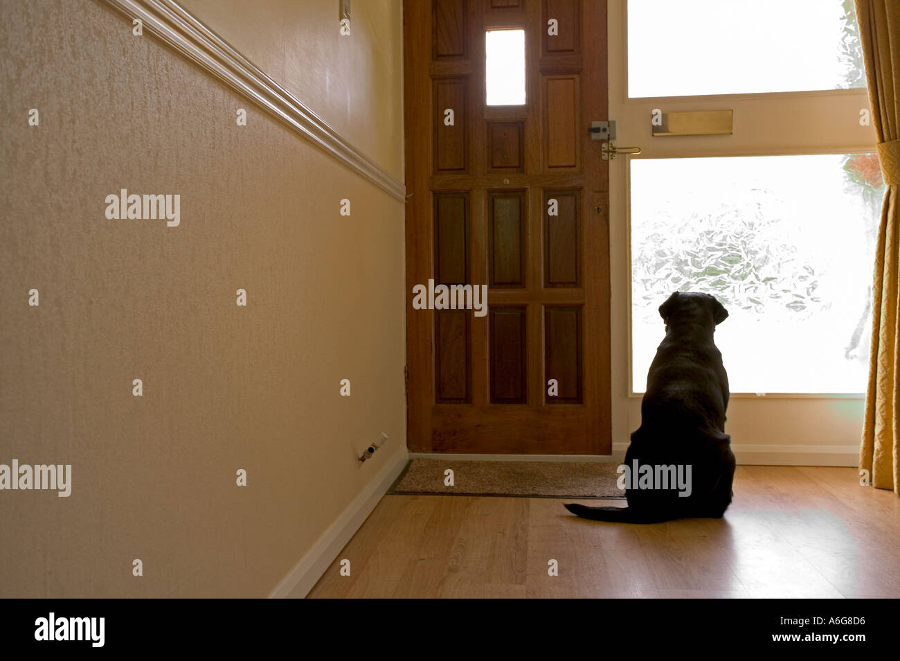Faithful wait hi-res stock photography and images - Alamy
