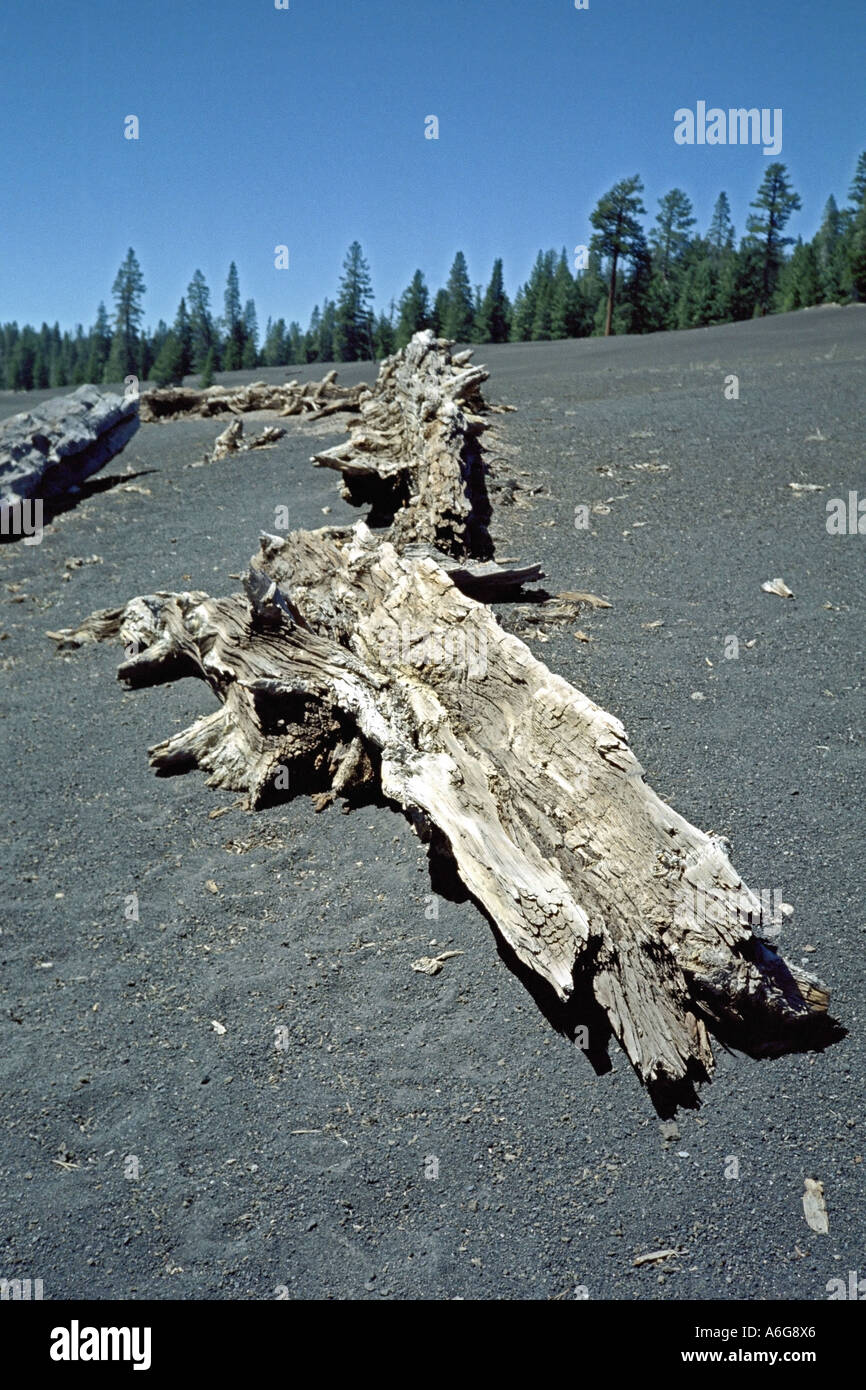Ashen landscape hi-res stock photography and images - Alamy