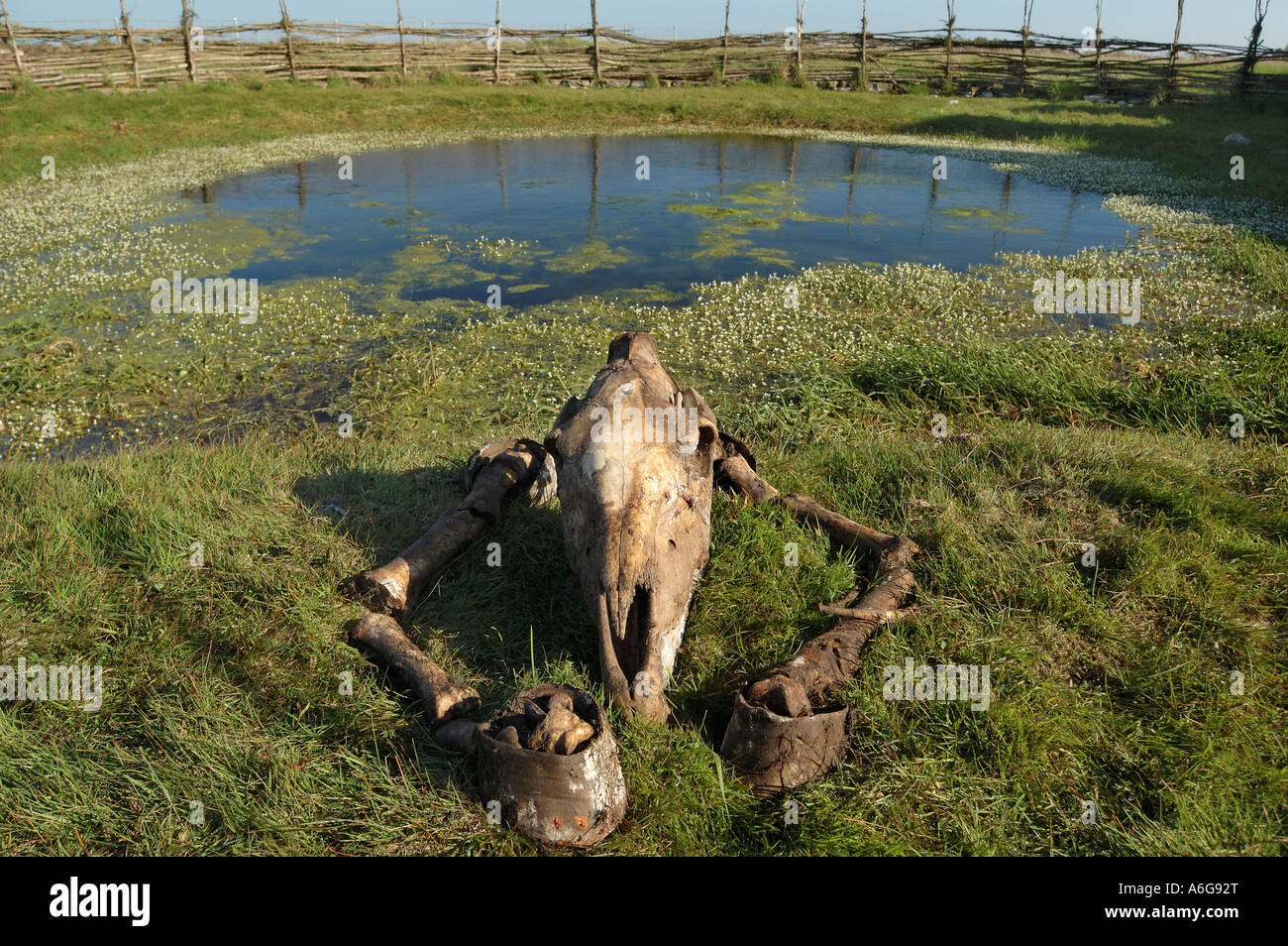 Pagan ritual site, outdoor museum, Eketorp castle, Oeland, Sweden Stock ...