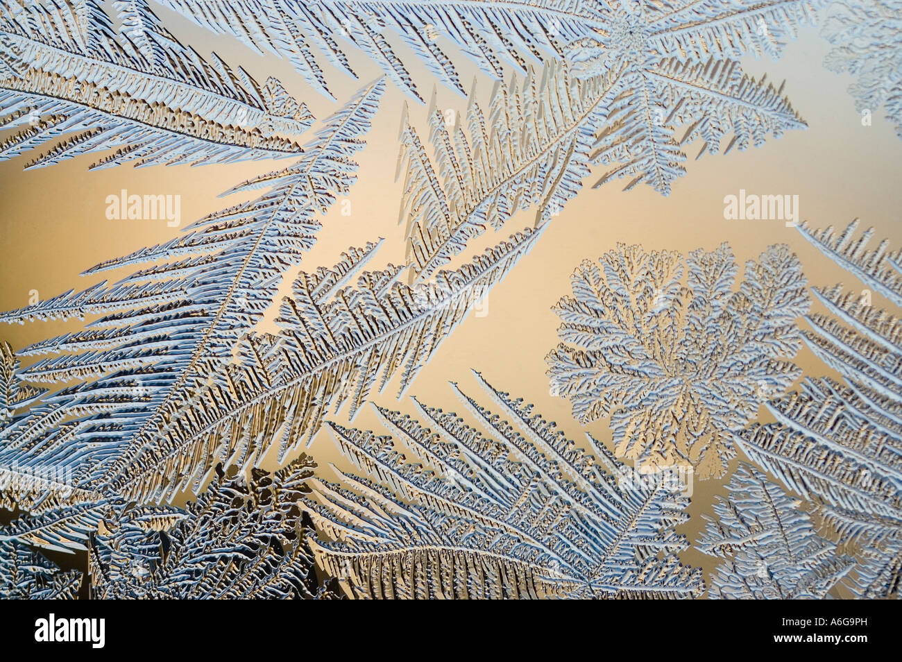 Fensterglas hi-res stock photography and images - Alamy