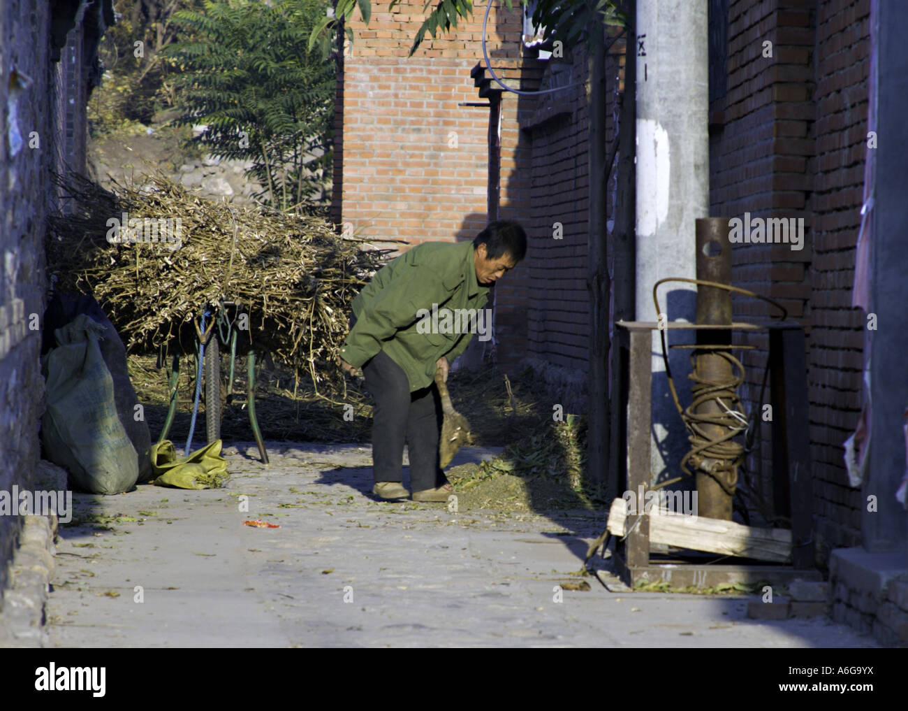 Soybean farming chinese hi-res stock photography and images - Alamy