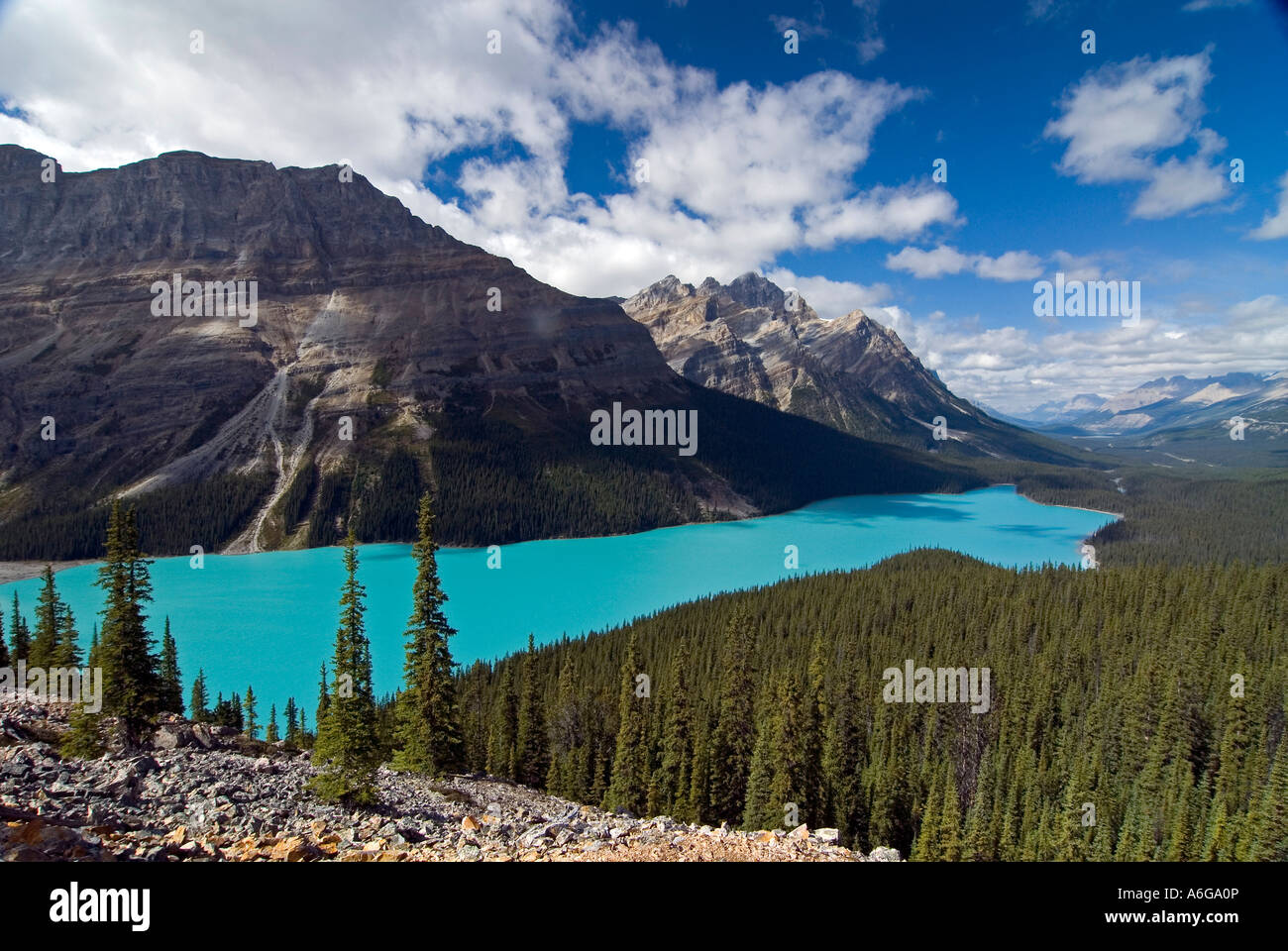 Berge und parks hi-res stock photography and images - Alamy
