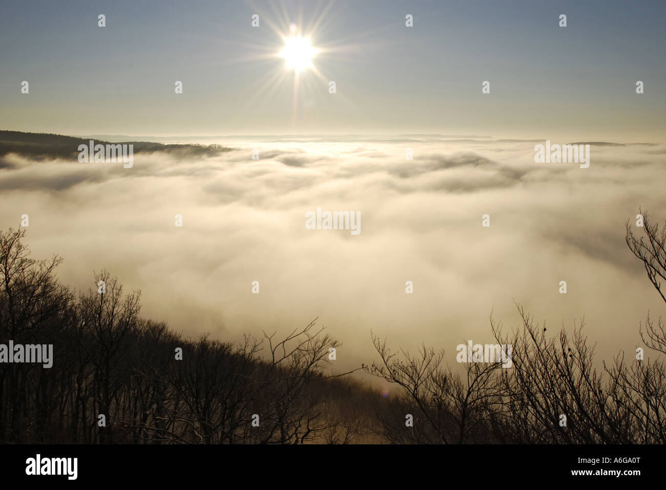 morning mist at the Breitenstein, Germany, Baden-Wuerttemberg ...