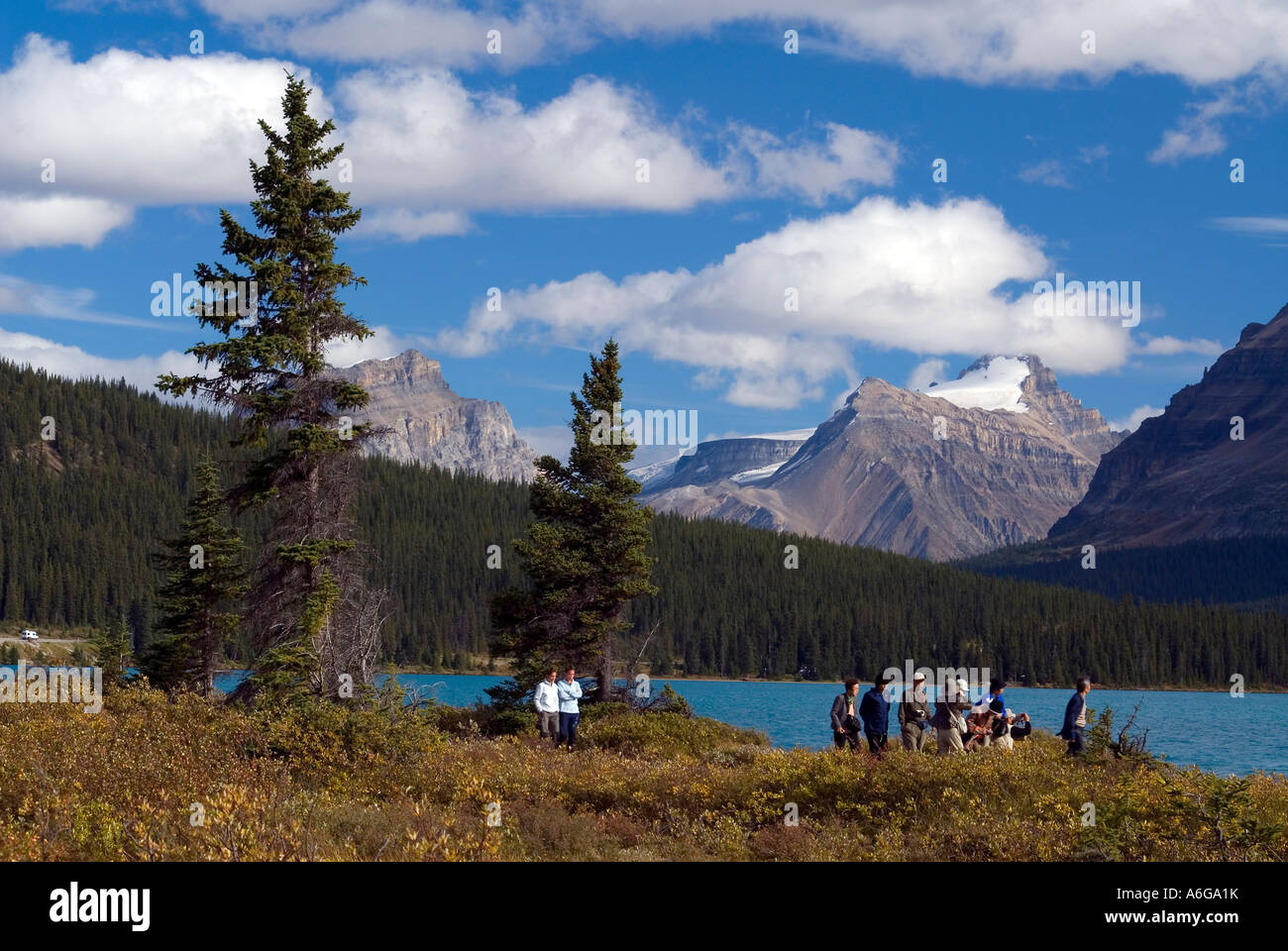 Tourists walking at Bow Lake viewing Mount Hector and Bow Peak, Bow ...