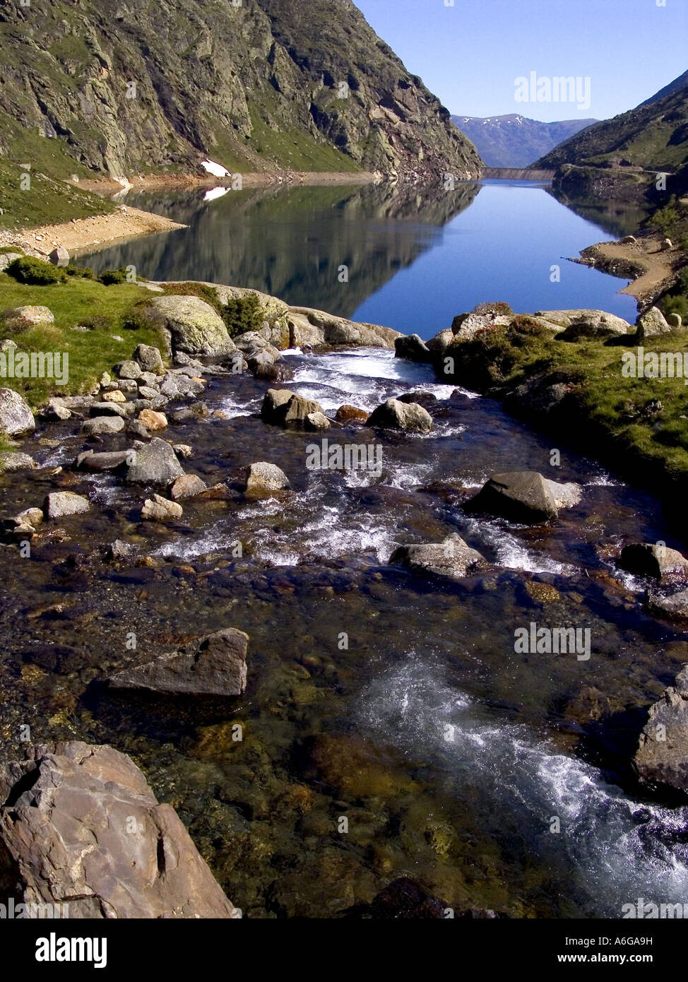 Pyrenaeen t mohr hi-res stock photography and images - Alamy