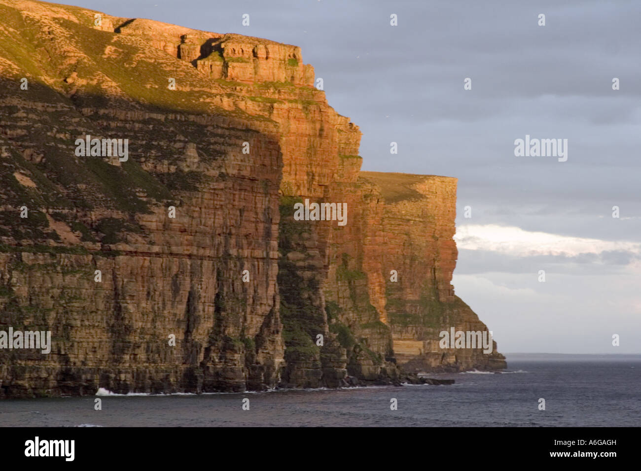 cliff line, United Kingdom, Orkney, Hoy Stock Photo - Alamy