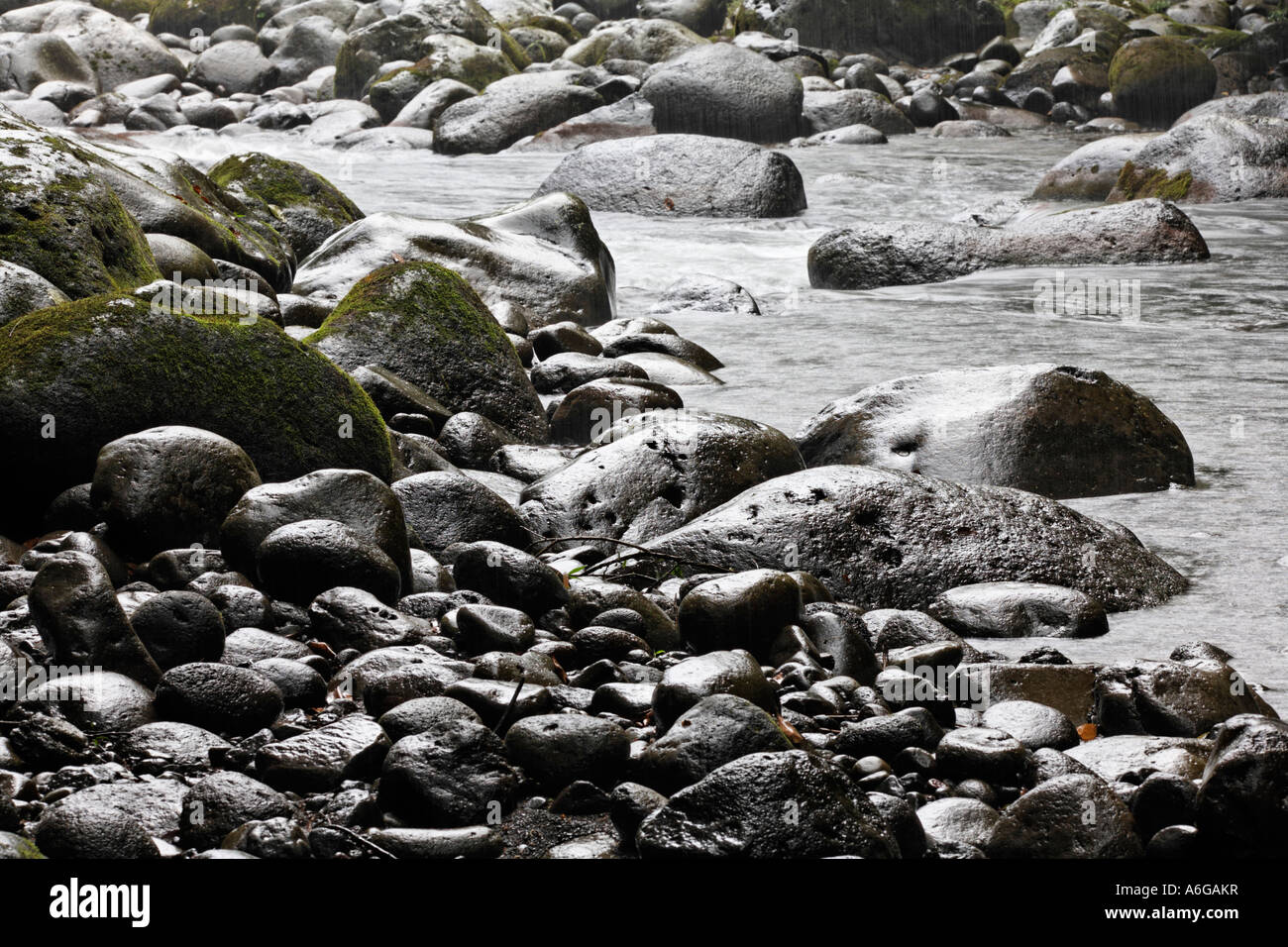 Guápiles costa rica hi-res stock photography and images - Alamy