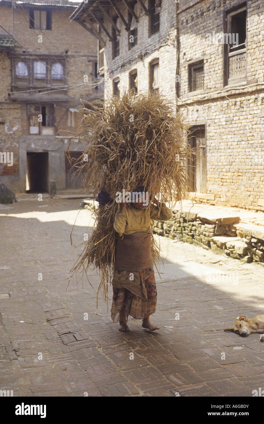 old countrywoman carrying hay, Nepal Stock Photo - Alamy