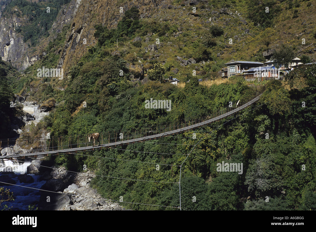 suspension bridge in the Annapurna area, Nepal Stock Photo - Alamy