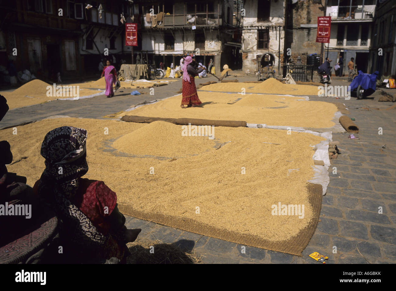Woman drying grain hi-res stock photography and images - Alamy