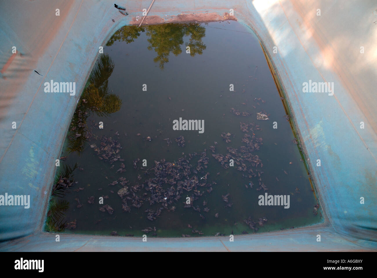 Kitgum. Disused swimming pool Stock Photo - Alamy