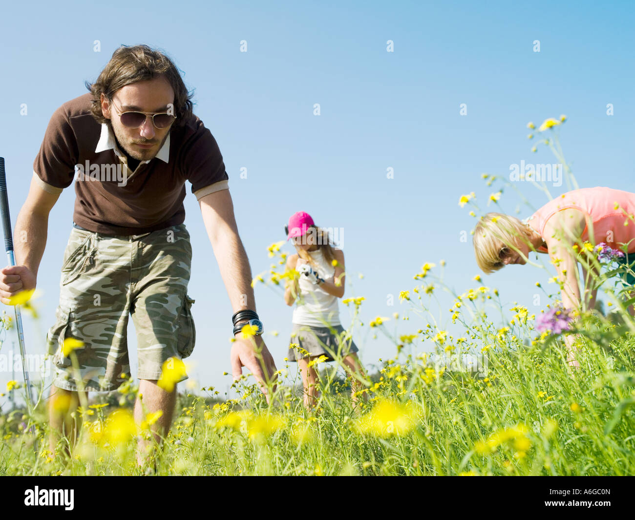Golfers searching in field Stock Photo - Alamy