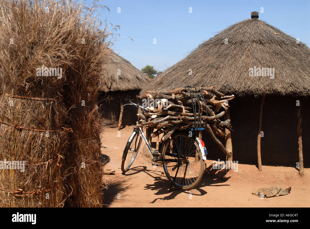 Kitgum, North Uganda.Displaced camp. Firewood on bicycle and huts Stock ...