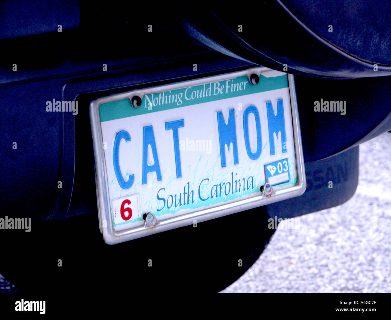 Car tag plate for cat breeder who is a mother of the cats and her own ...