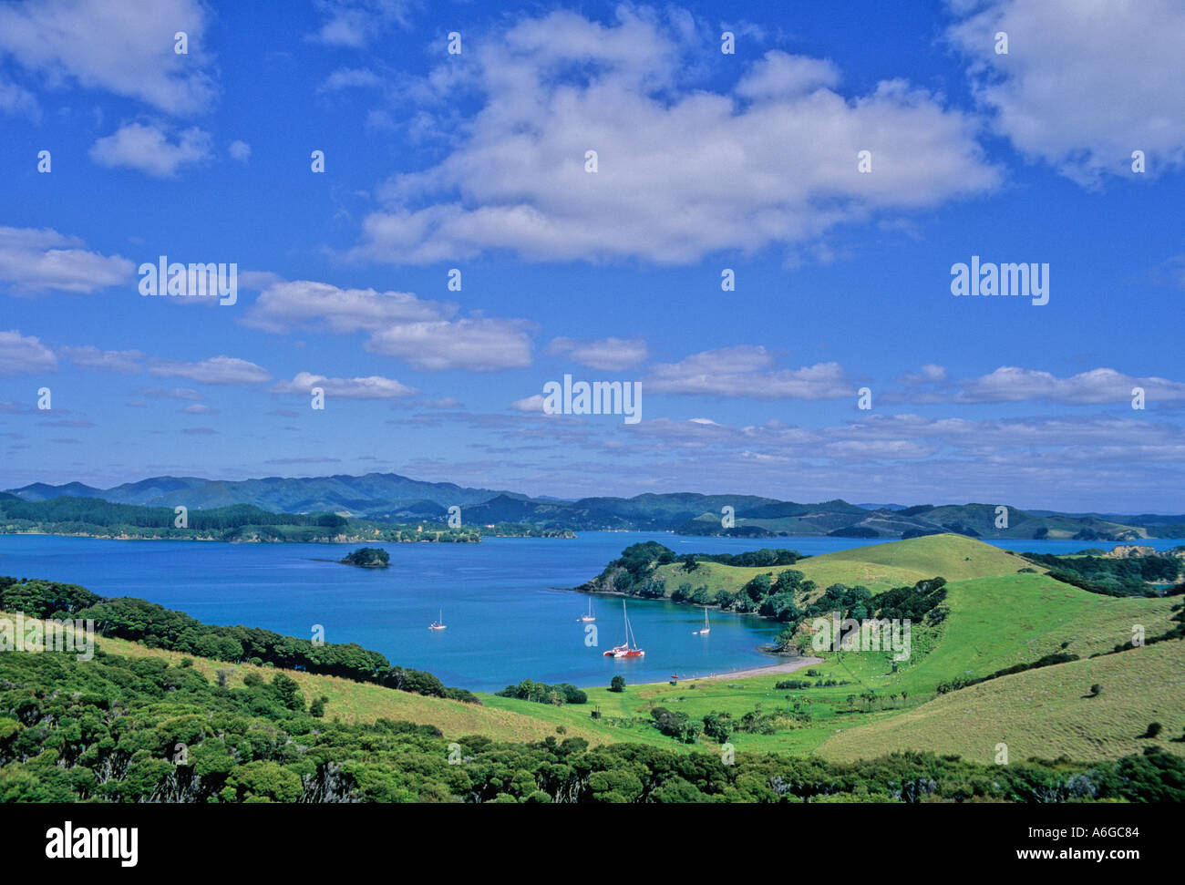 Urupukapuka island bay islands new hi-res stock photography and images ...