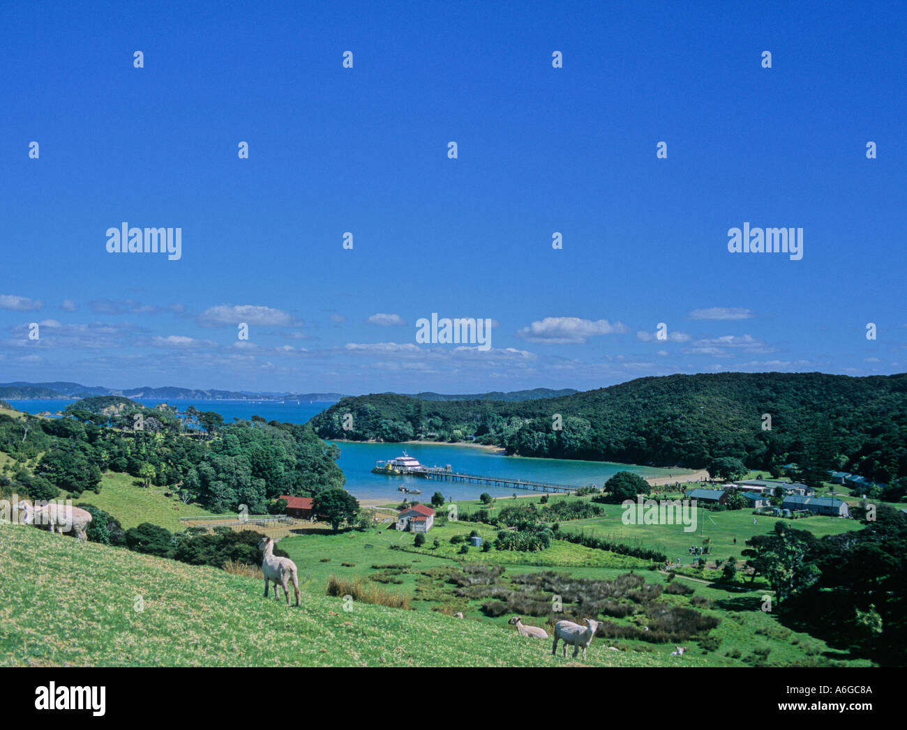 View from hill shows Otehei Bay on Urupukapuka Island Bay of Islands ...