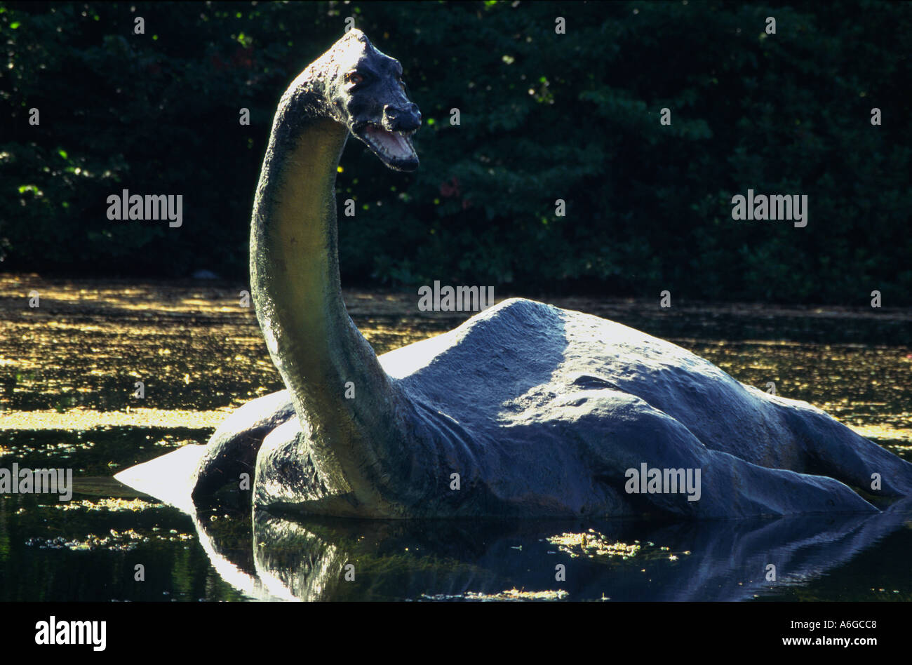 Nessy hi-res stock photography and images - Alamy