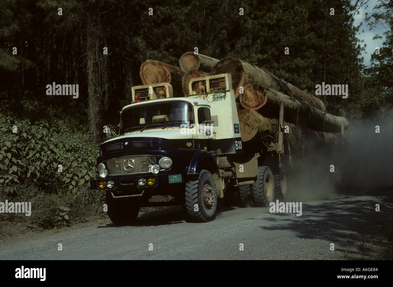 Loaded logging truck Danum Valley Sabah Borneo Malaysia primary ...