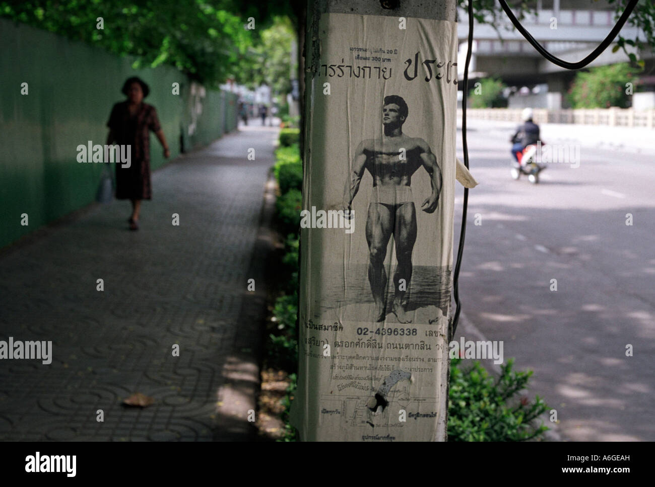Thai bodybuilder hi-res stock photography and images - Alamy