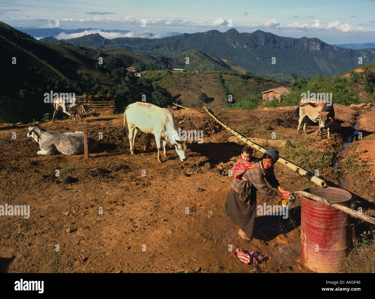 Myanmar Shan State Kalaw area peasant woman washing laundry with water ...