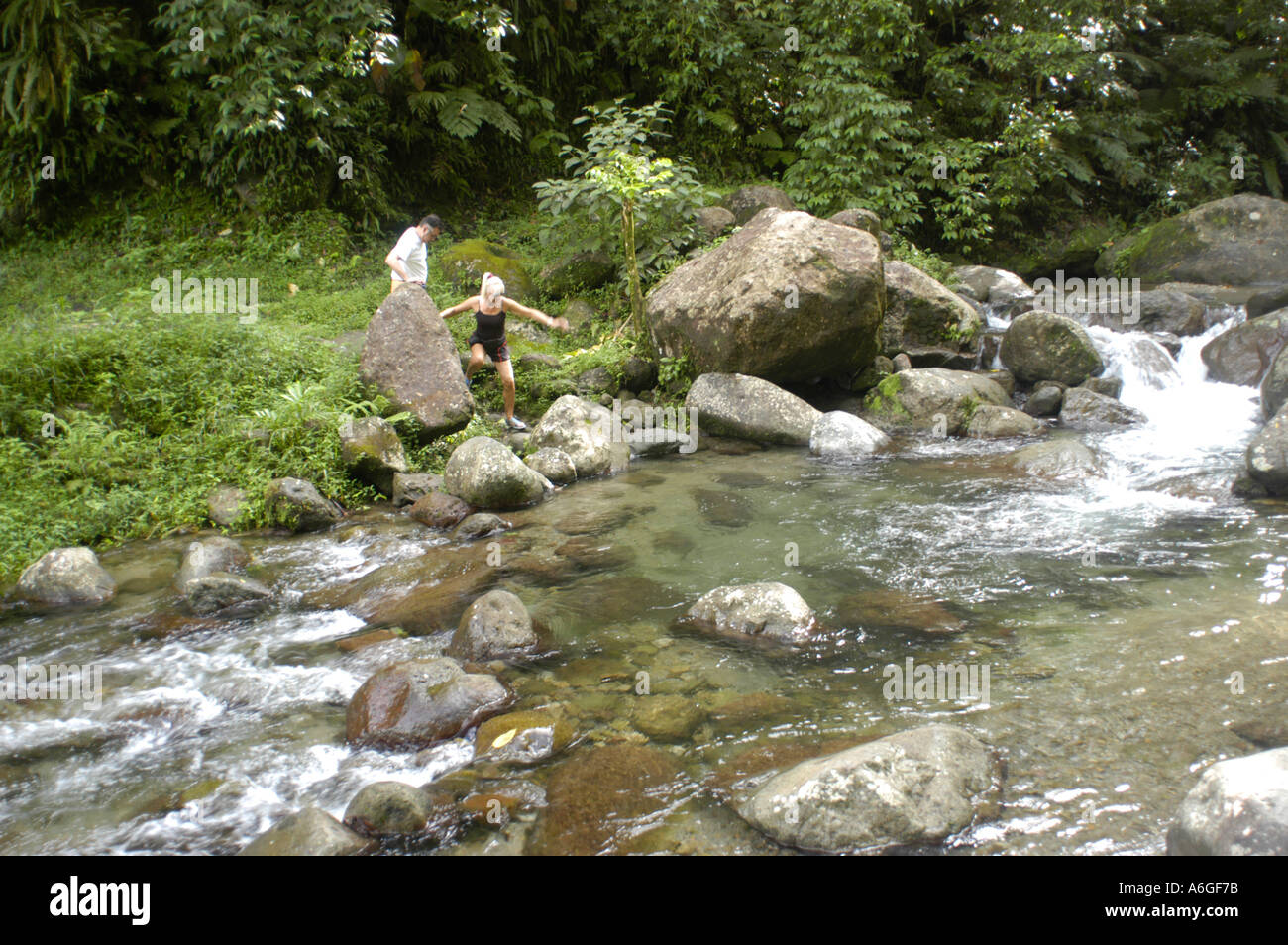 Fresh water creek in the high country of Barbados Stock Photo - Alamy