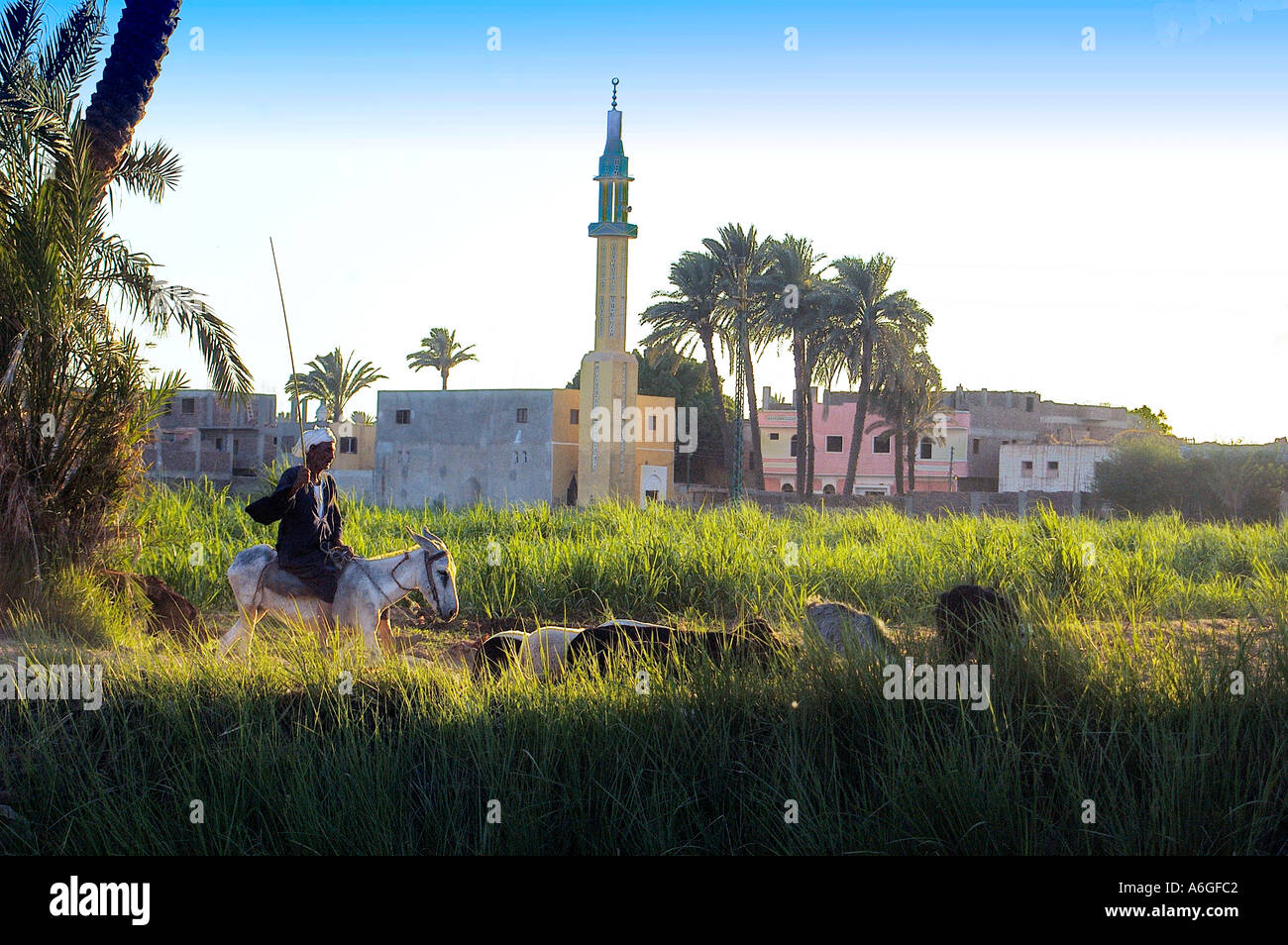 Egypt at Gurna in the Nile valley on the Luxor west bank Stock Photo ...