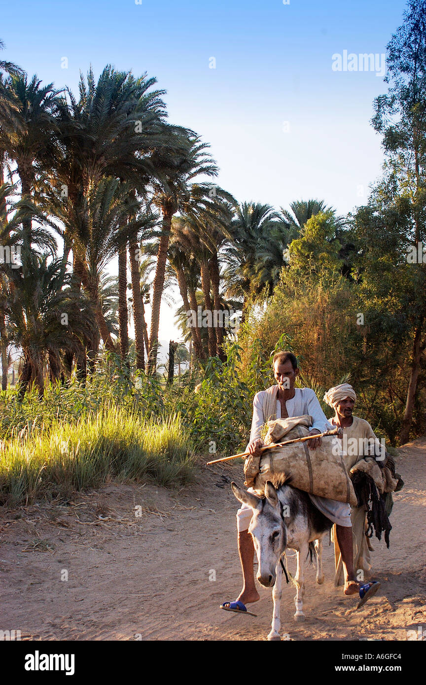Egypt at Gurna in the Nile valley on the Luxor west bank Stock Photo ...