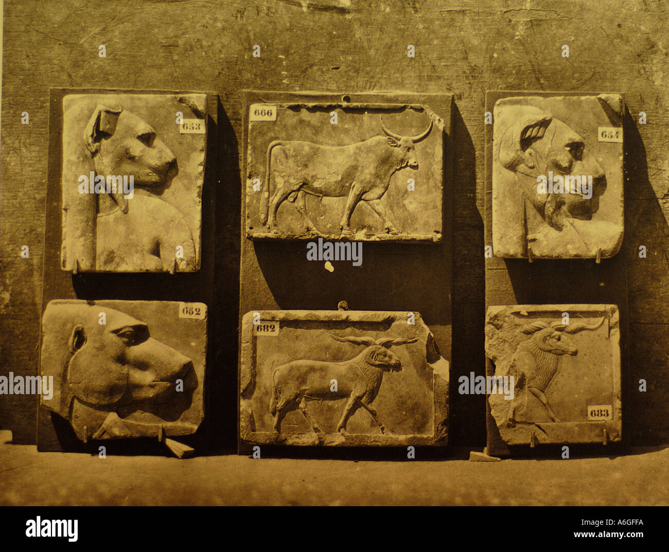 Egypt exhibit in the first Egyptian Museum at Bulaq Cairo Stock Photo ...