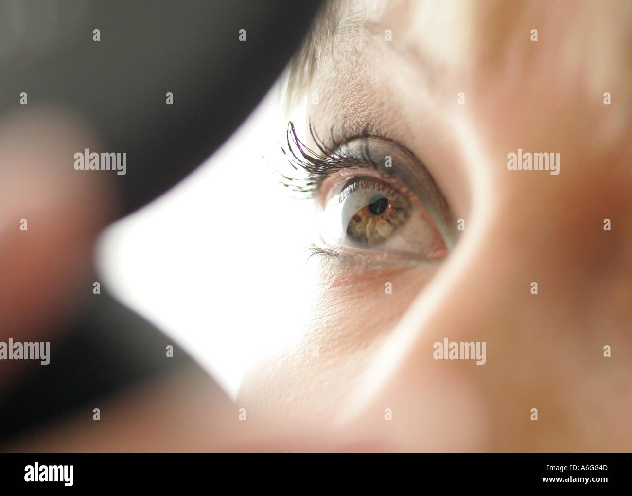 Female hazel eye makeup hi-res stock photography and images - Alamy