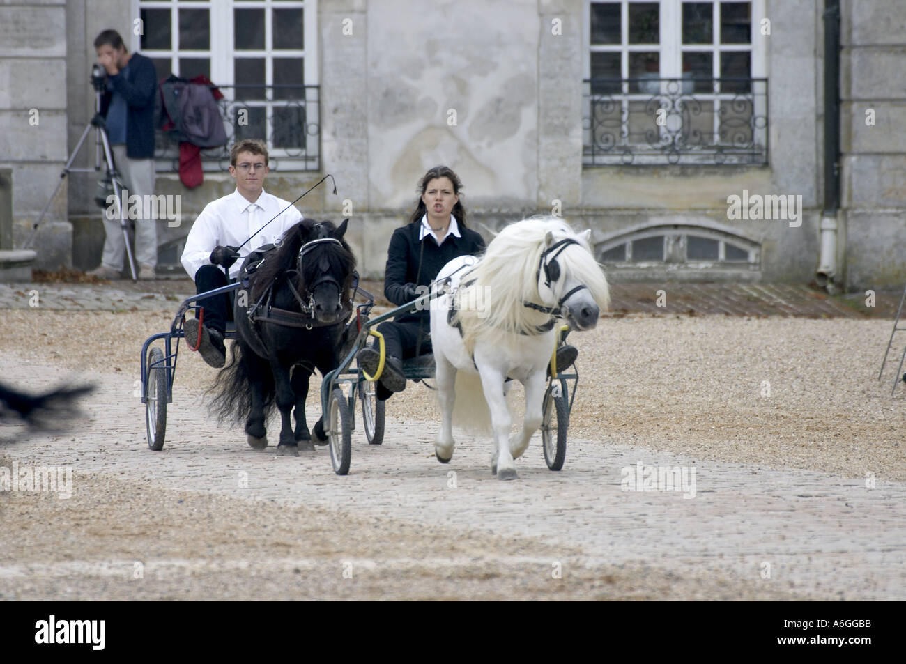 Riders with small pony cart in equestrian demonstration Le Haras du Pin ...