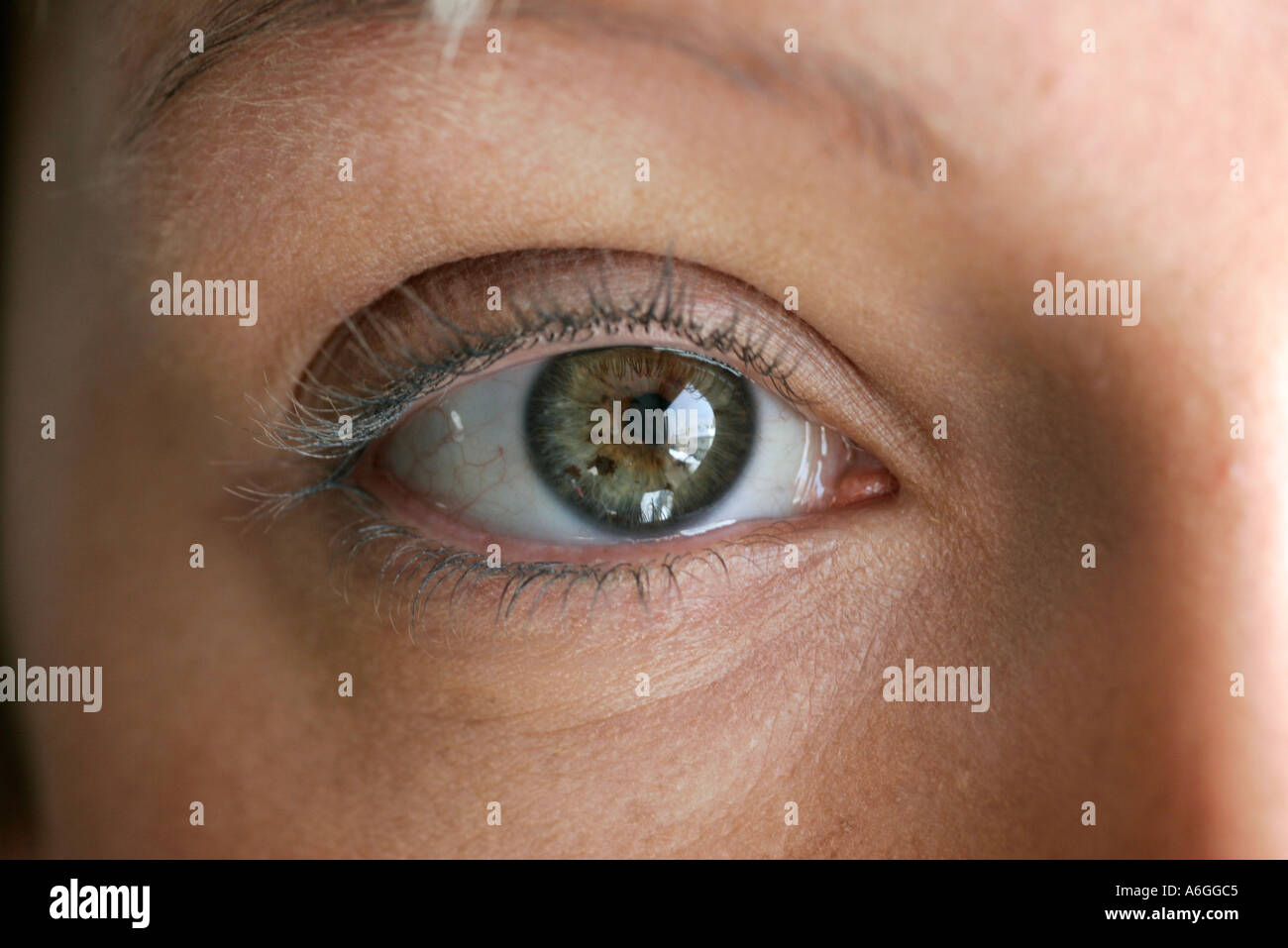Eye looking at hi-res stock photography and images - Alamy
