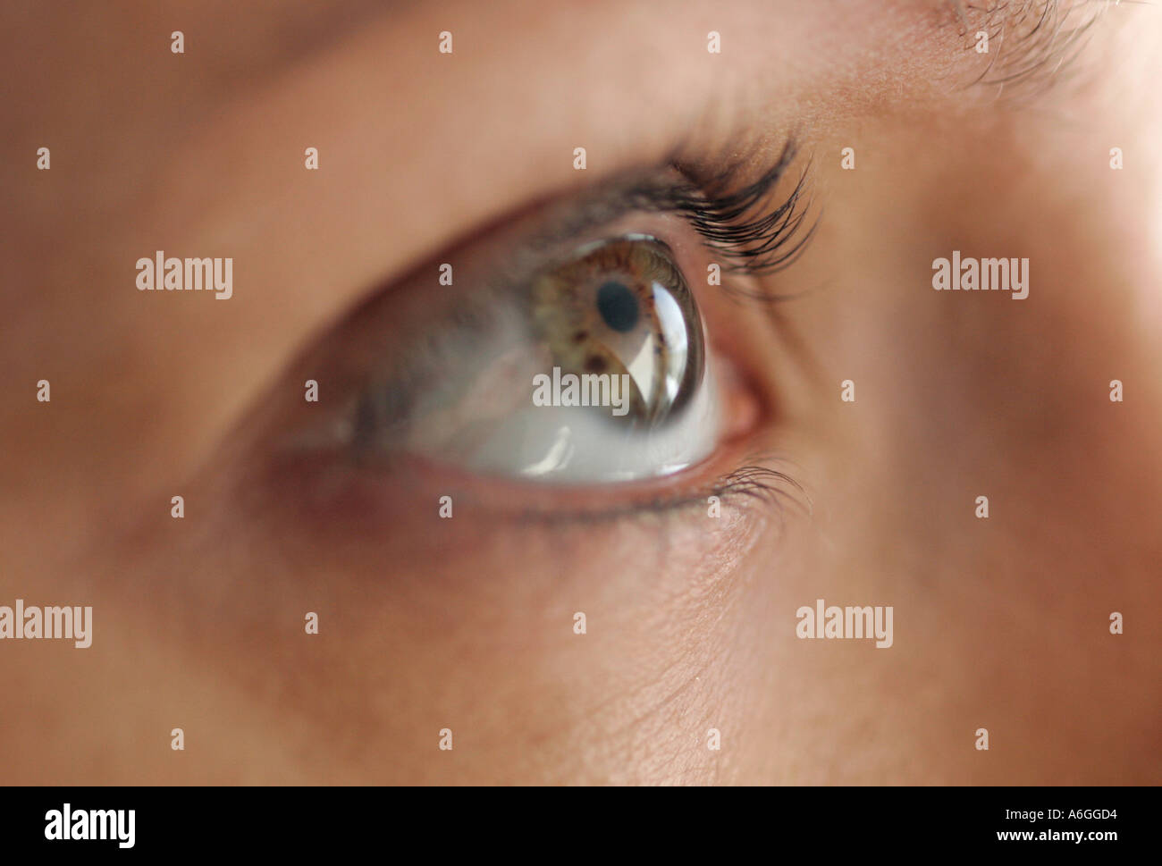 Eye looking at hi-res stock photography and images - Alamy