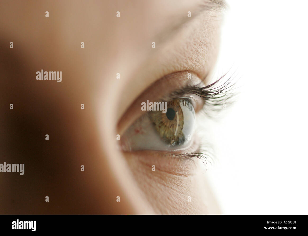 Eye looking at hi-res stock photography and images - Alamy