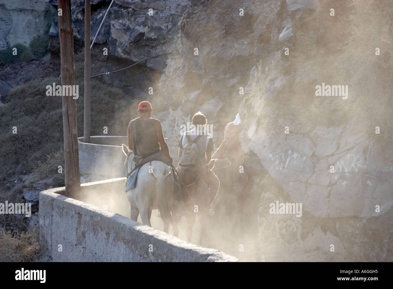 Riding mules hi-res stock photography and images - Alamy
