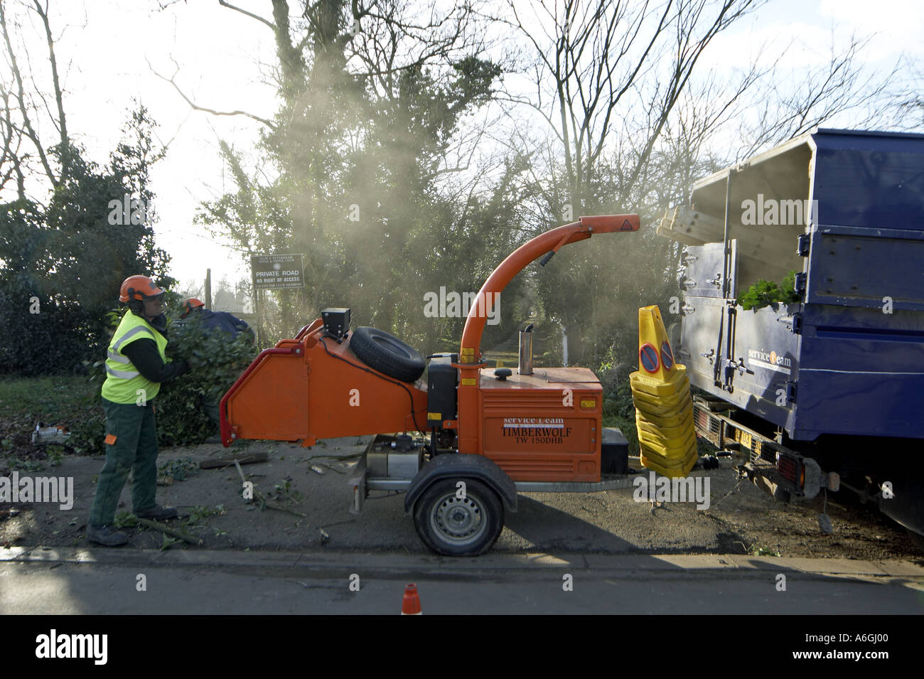 Tree surgeons at work with Timberwolf wood shredder clearing fallen ...