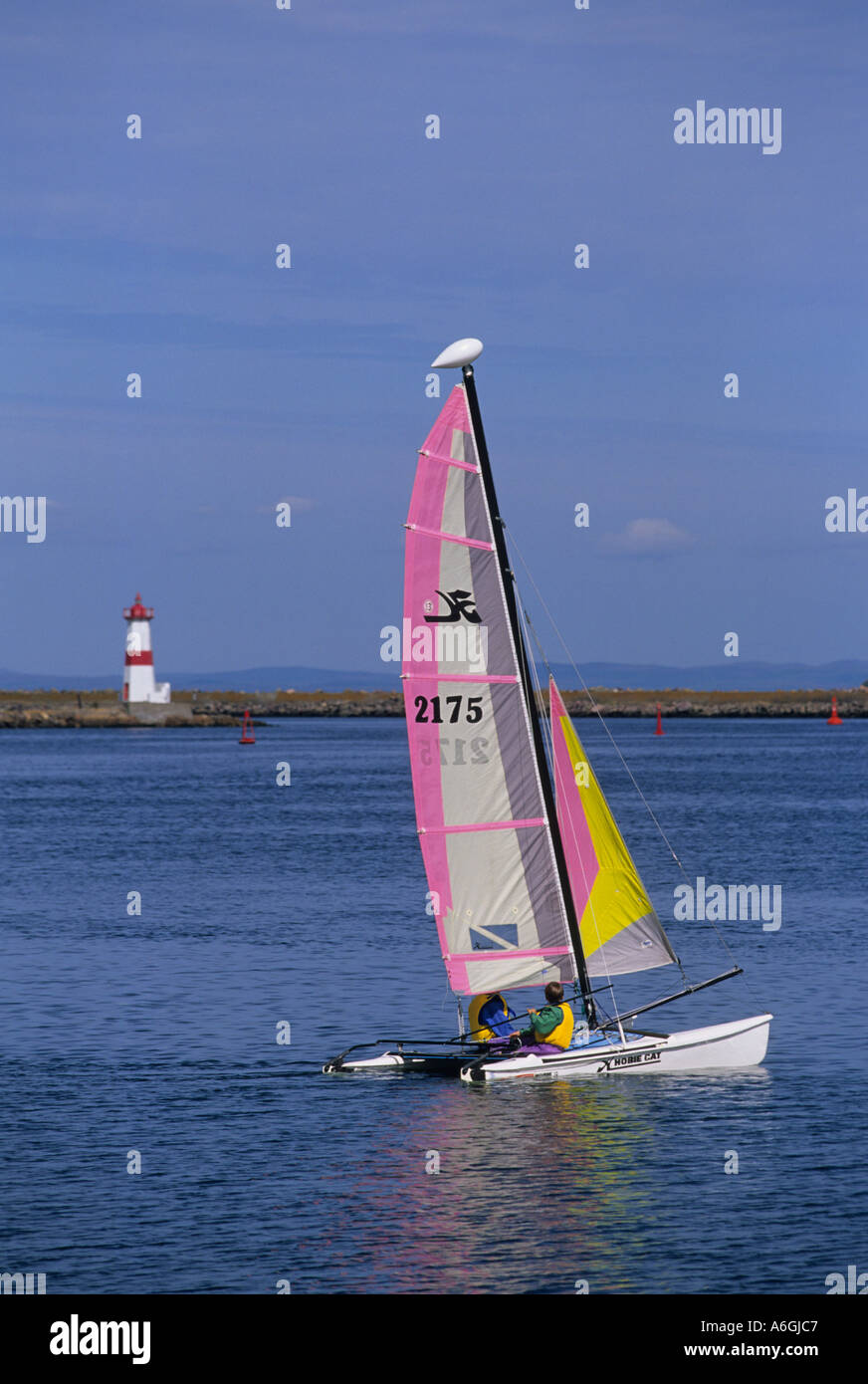 Sailing Hobie cats in Saint Pierre harbour, Saint Pierre and Miquelon ...