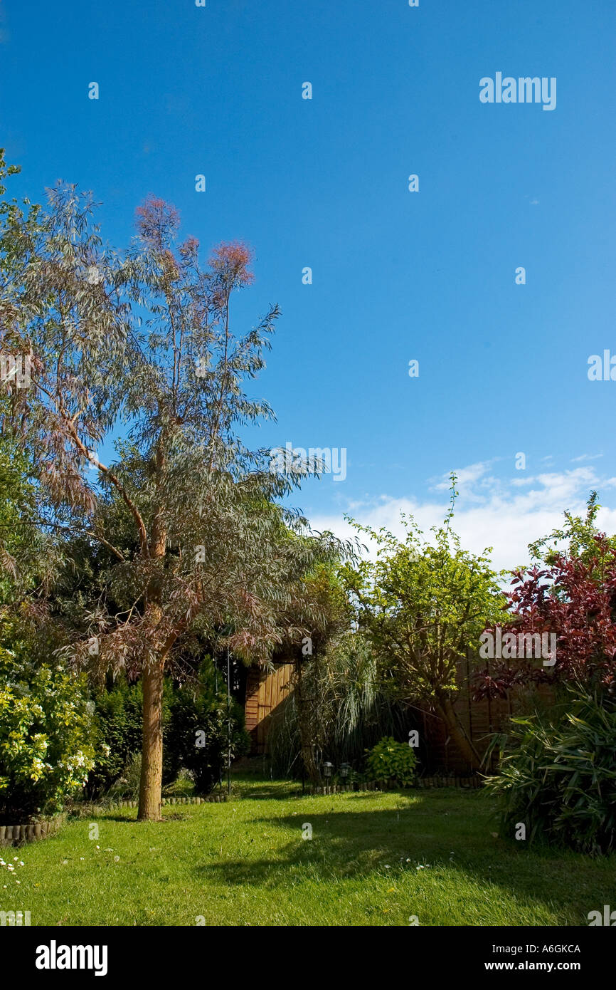 beautiful garden in may Stock Photo - Alamy
