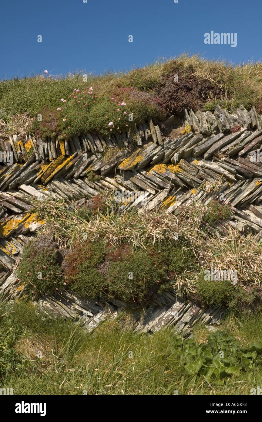 Cornish hedge dry stone wall hi-res stock photography and images - Alamy