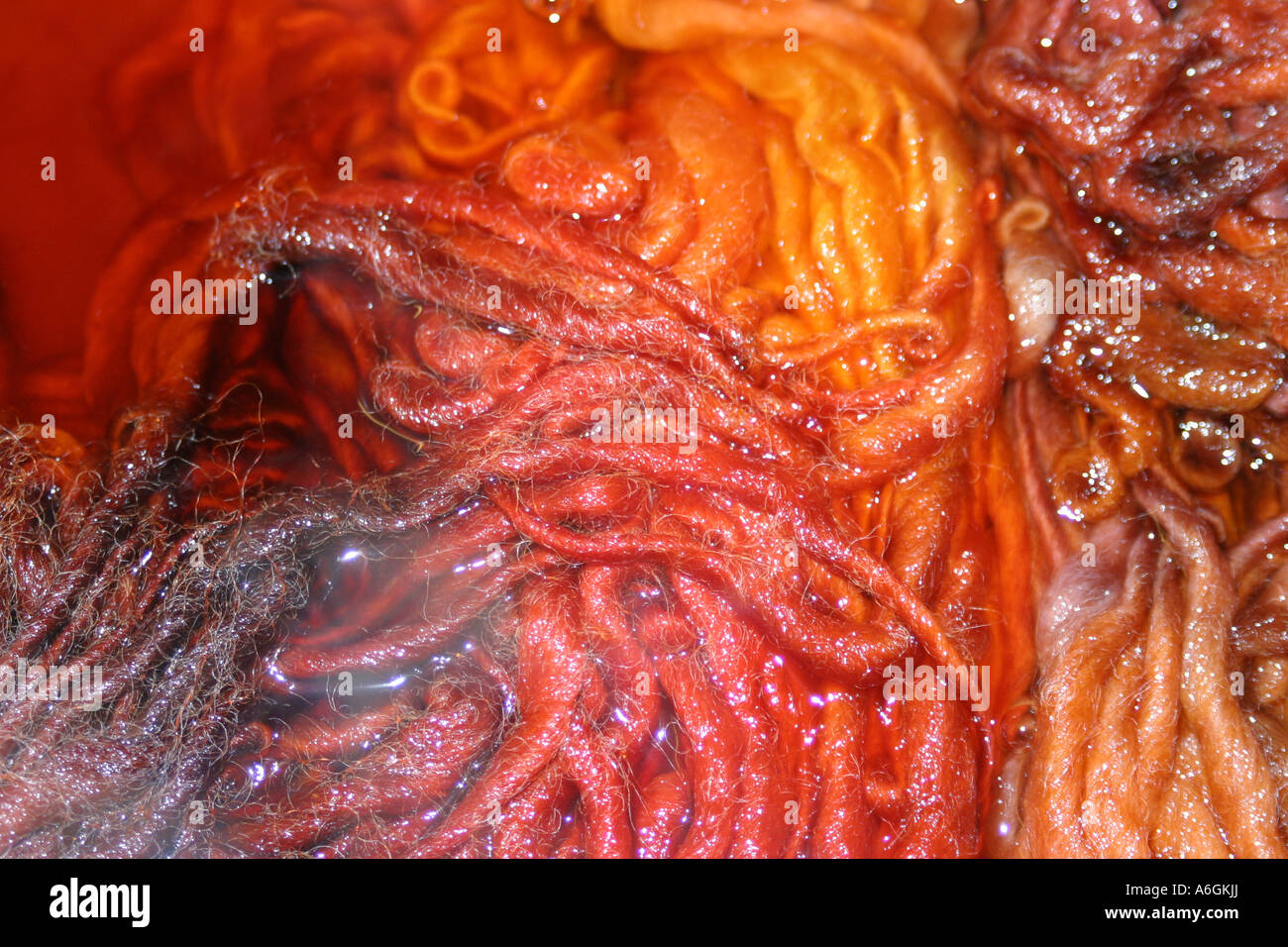 Red wool dye in hi-res stock photography and images - Alamy