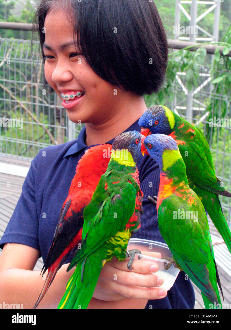 Happy young visitor feeds lorikeets Jurong Bird Park Lory Loft ...