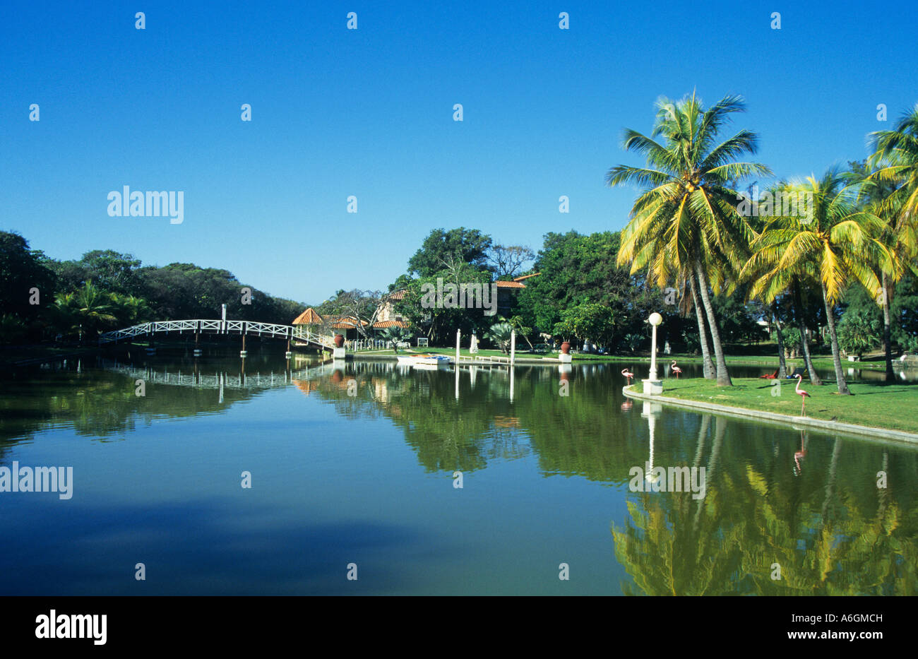 Park in varadero cuba Stock Photo - Alamy