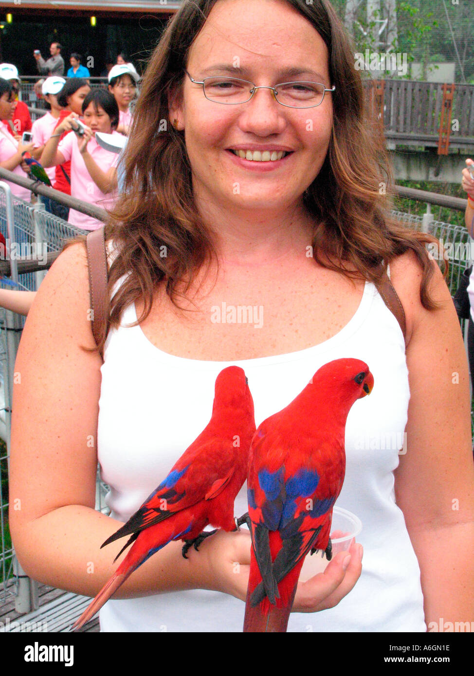 Smiling woman visitor feeds lorikeets Jurong Bird Park Lory Loft ...