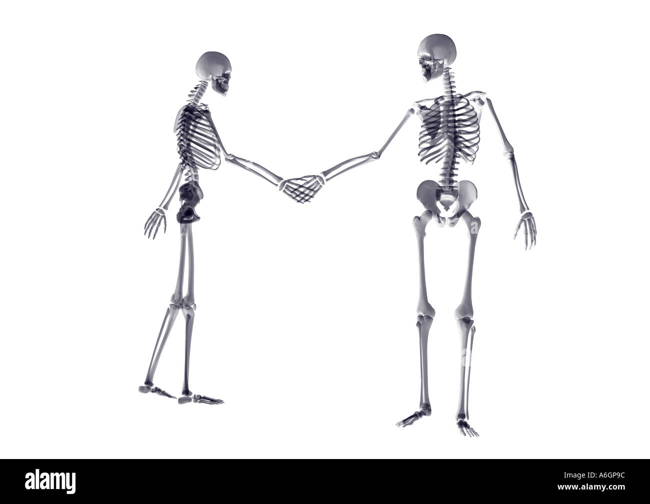 Skeleton handshake hi-res stock photography and images - Alamy