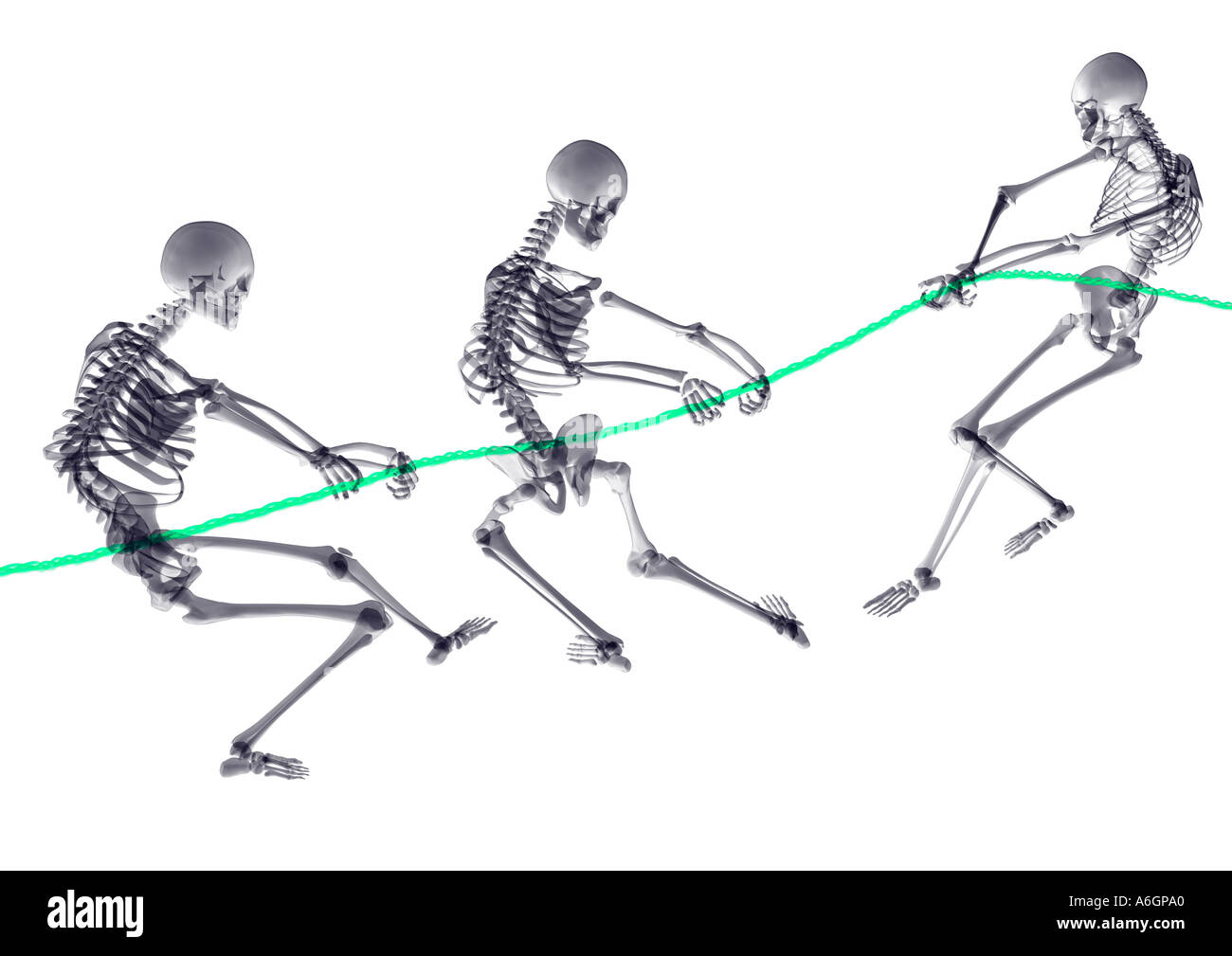 x ray skeleton pulling on a rope Stock Photo - Alamy