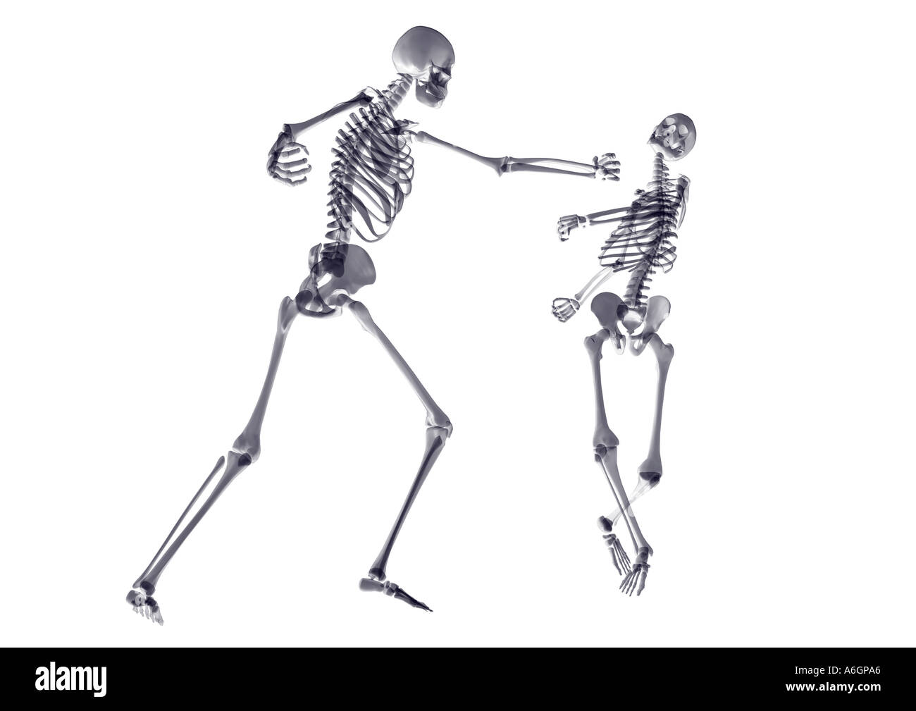 x ray skeleton boxing Stock Photo - Alamy