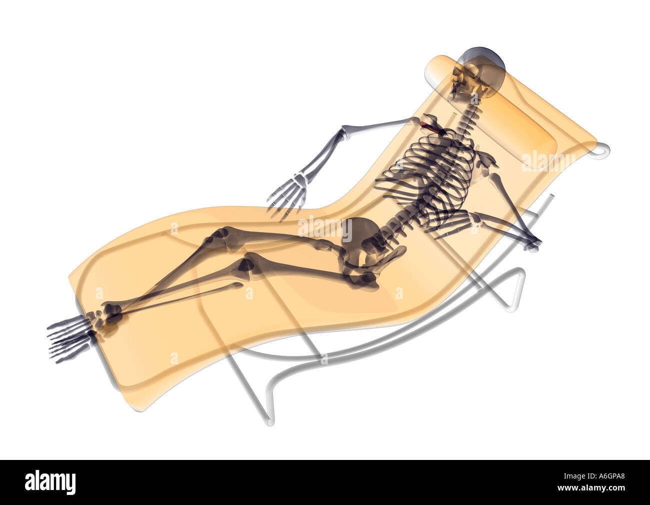 x ray skeleton relaxing Stock Photo - Alamy