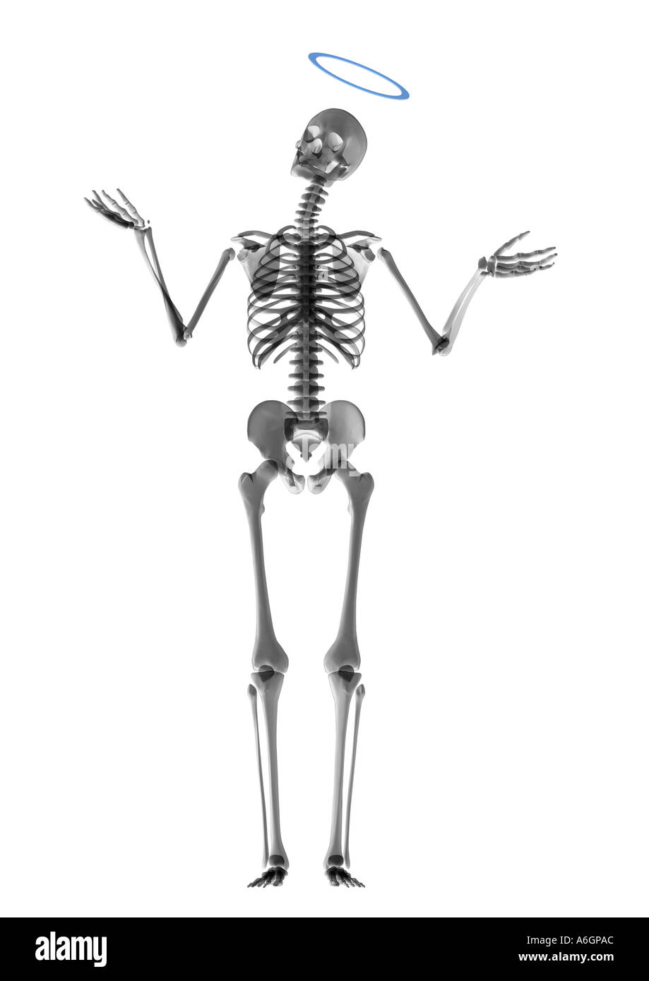 Saint with angel Cut Out Stock Images & Pictures - Alamy