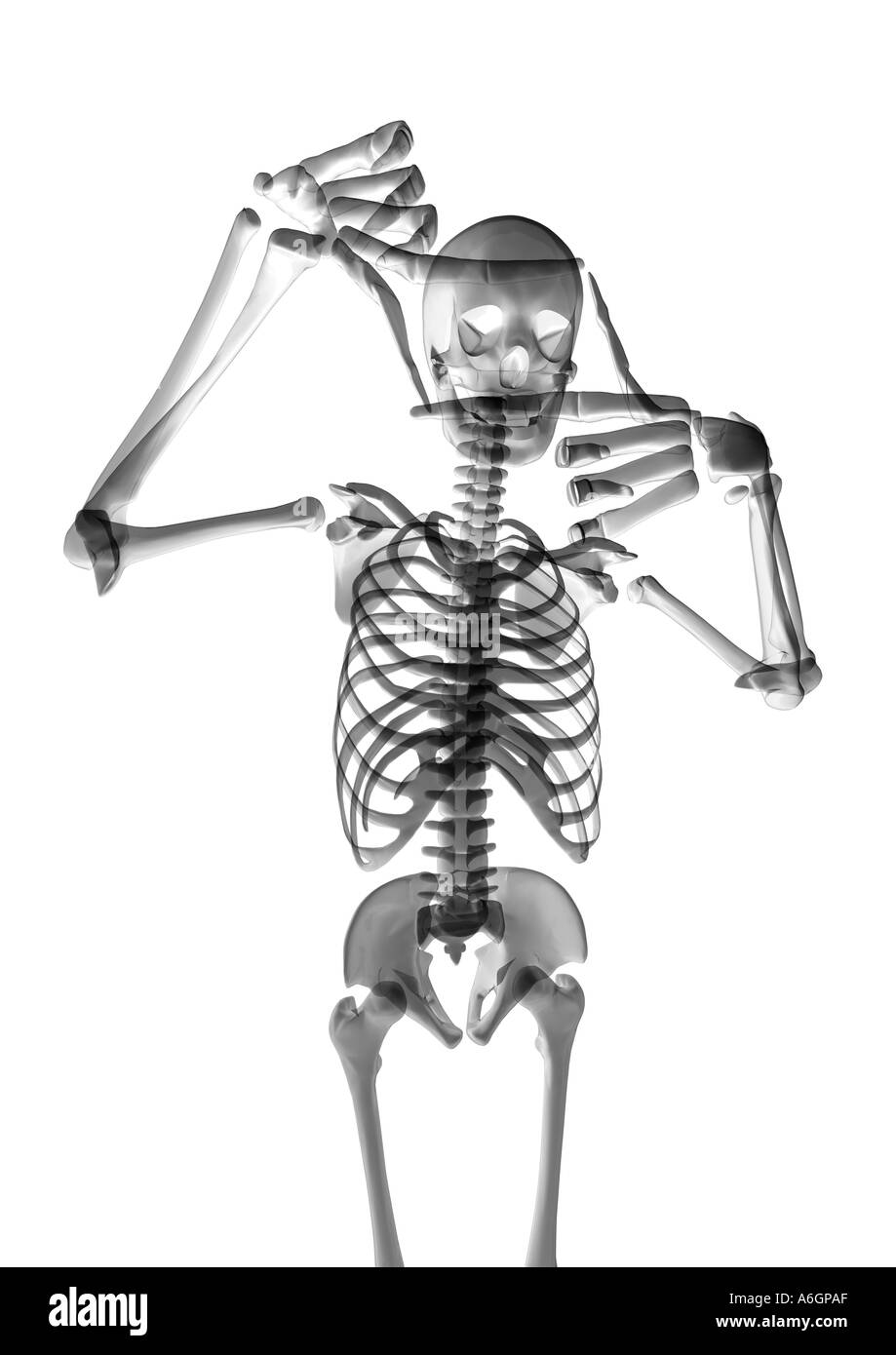 Funny skeleton hi-res stock photography and images - Alamy