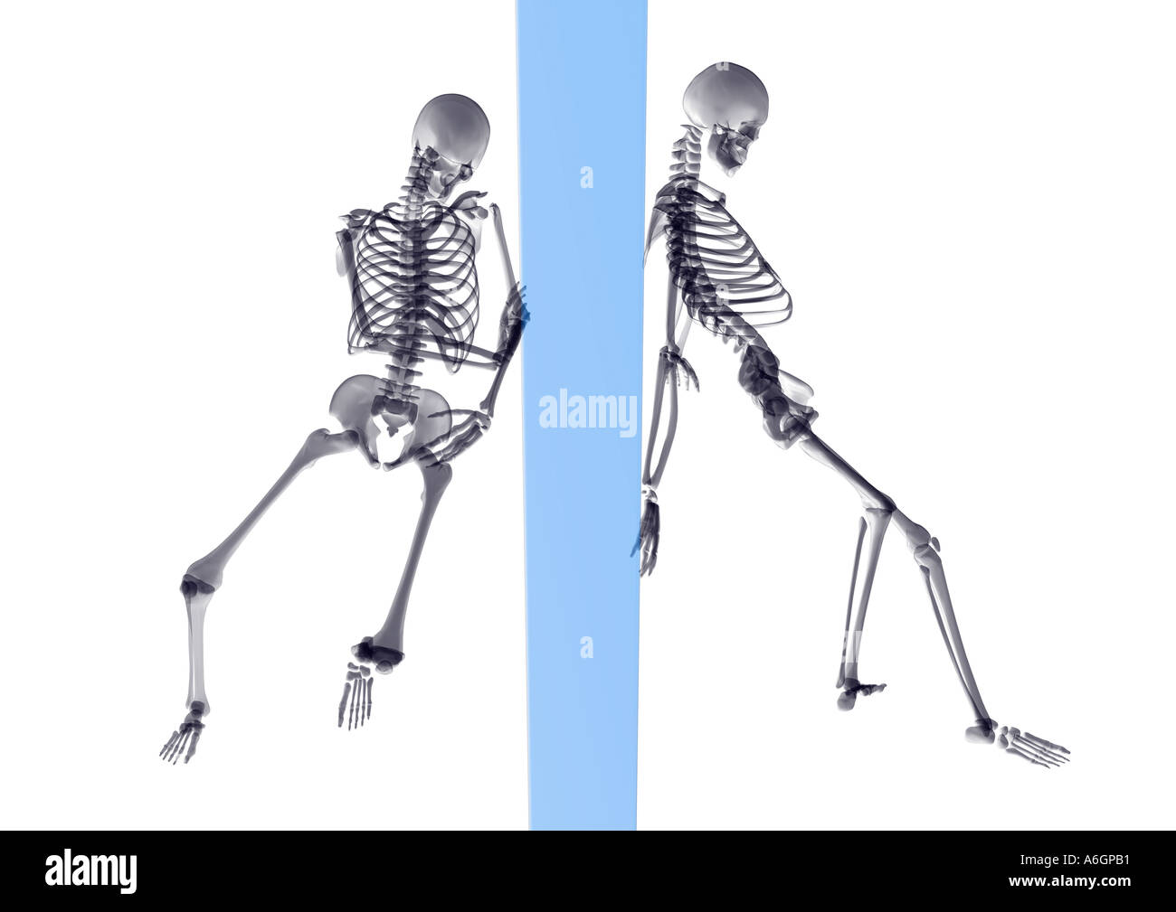 Skeleton x ray xray bizarre hi-res stock photography and images - Alamy